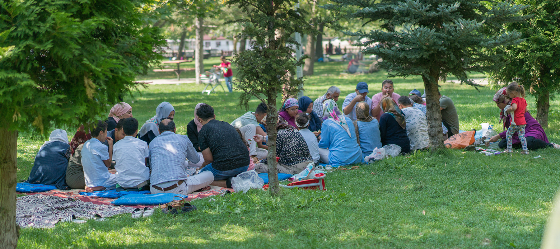 Fact sheet: Muslim mental health - Centre for Mental Health